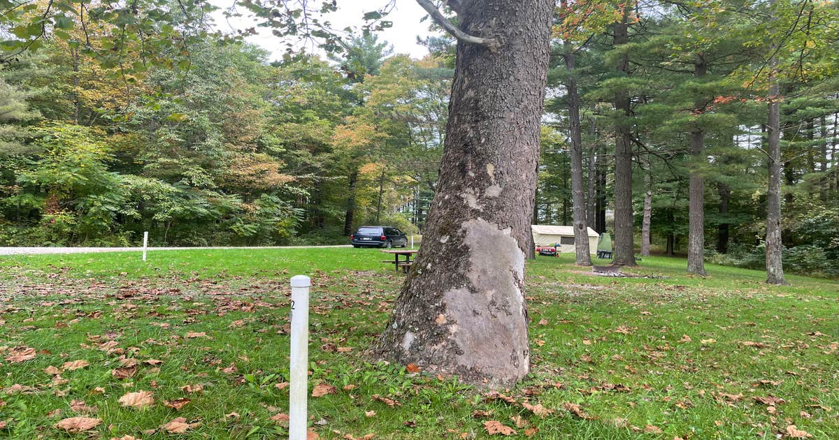 Maple Grove (Campground G) — Jesse Owens State Park | McConnelsville, Ohio