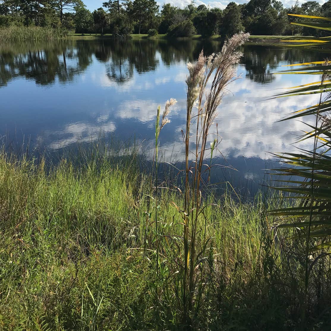 Wickham Park Campground Camping | The Dyrt