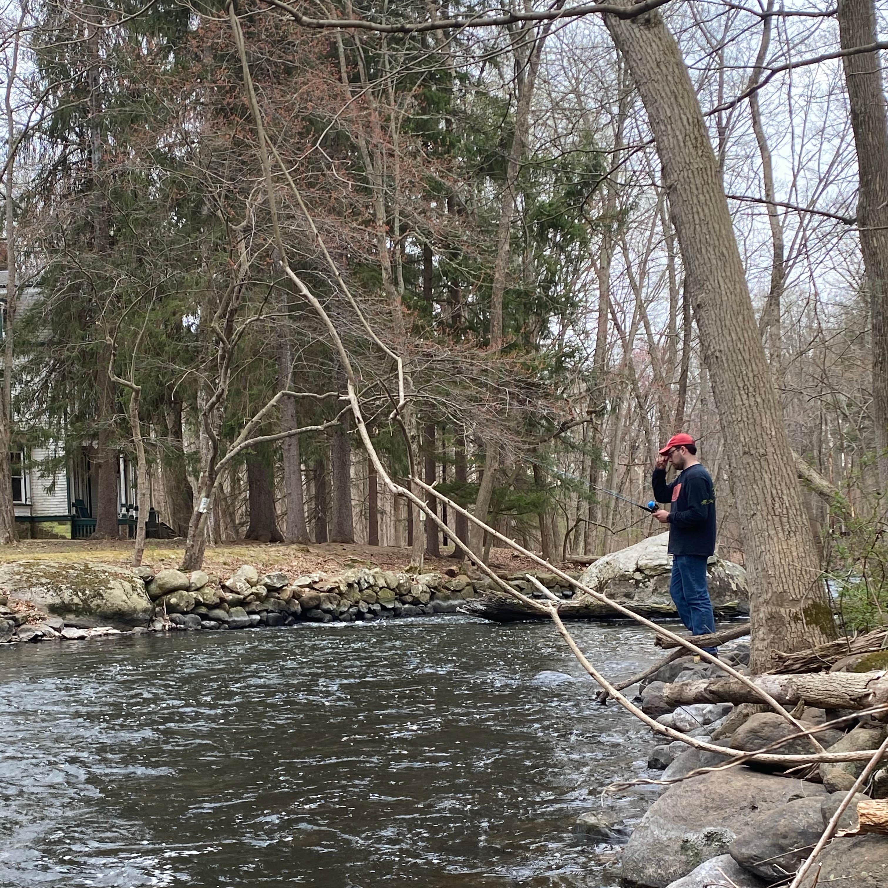 Stephens State Park Camping | The Dyrt