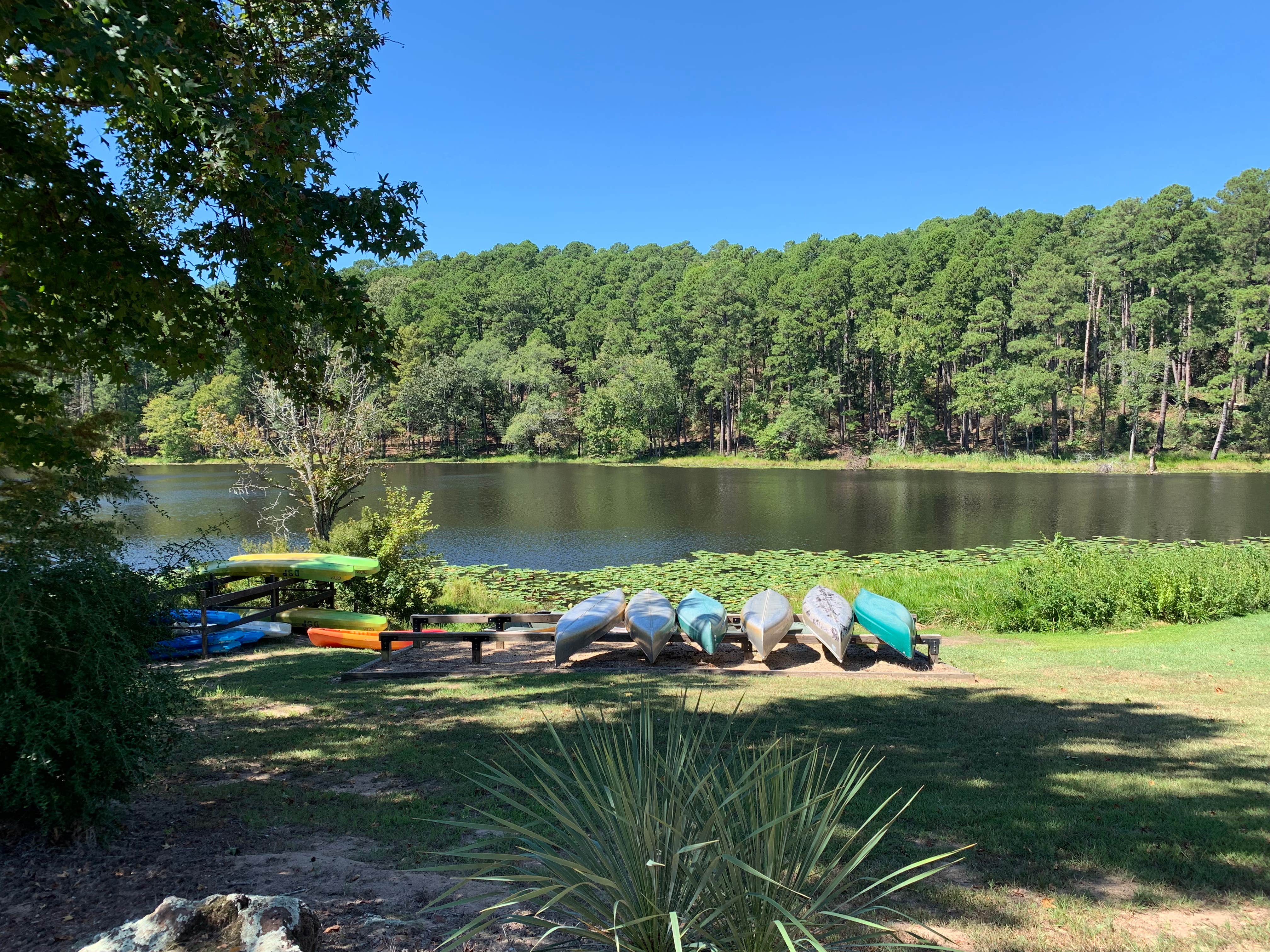 Daingerfield State Park Campground | Daingerfield, Texas