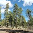 Freidlein Prairie Dispersed Camping Camping | The Dyrt