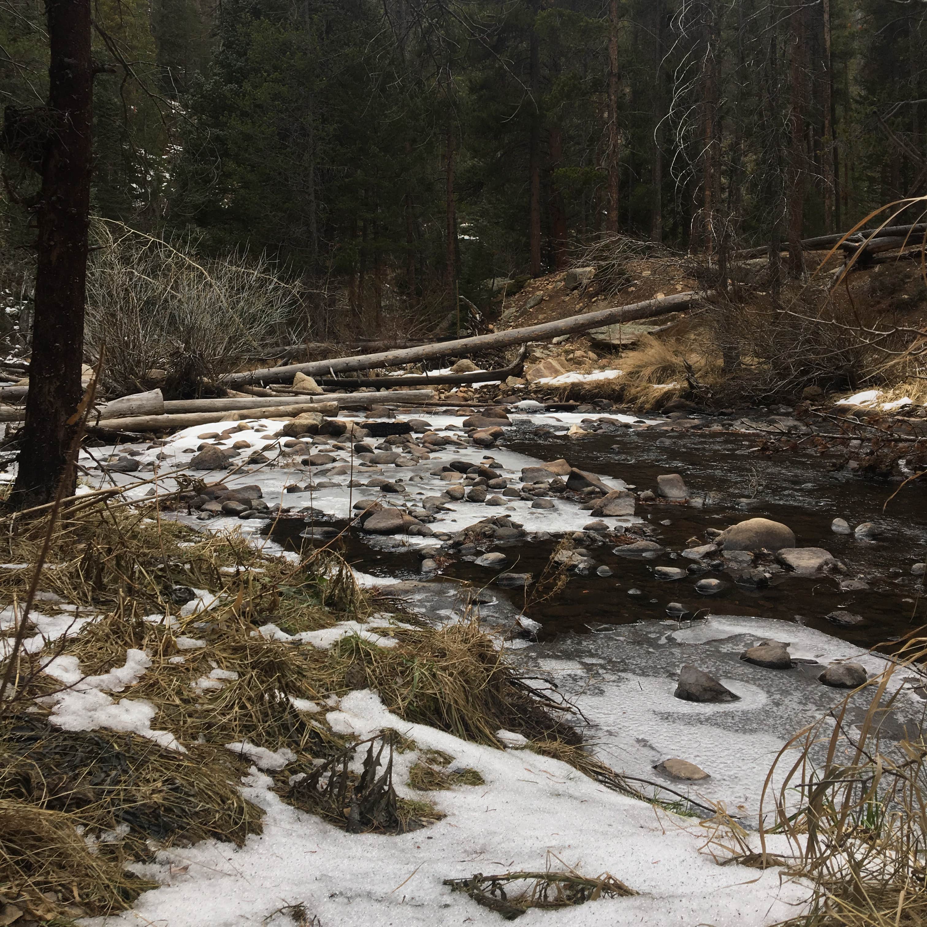 Ceran St. Vrain Trail Dispersed Camping Camping | The Dyrt