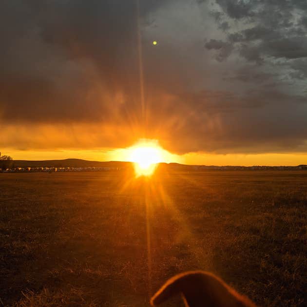 Hart Ranch RV Resort Camping | The Dyrt