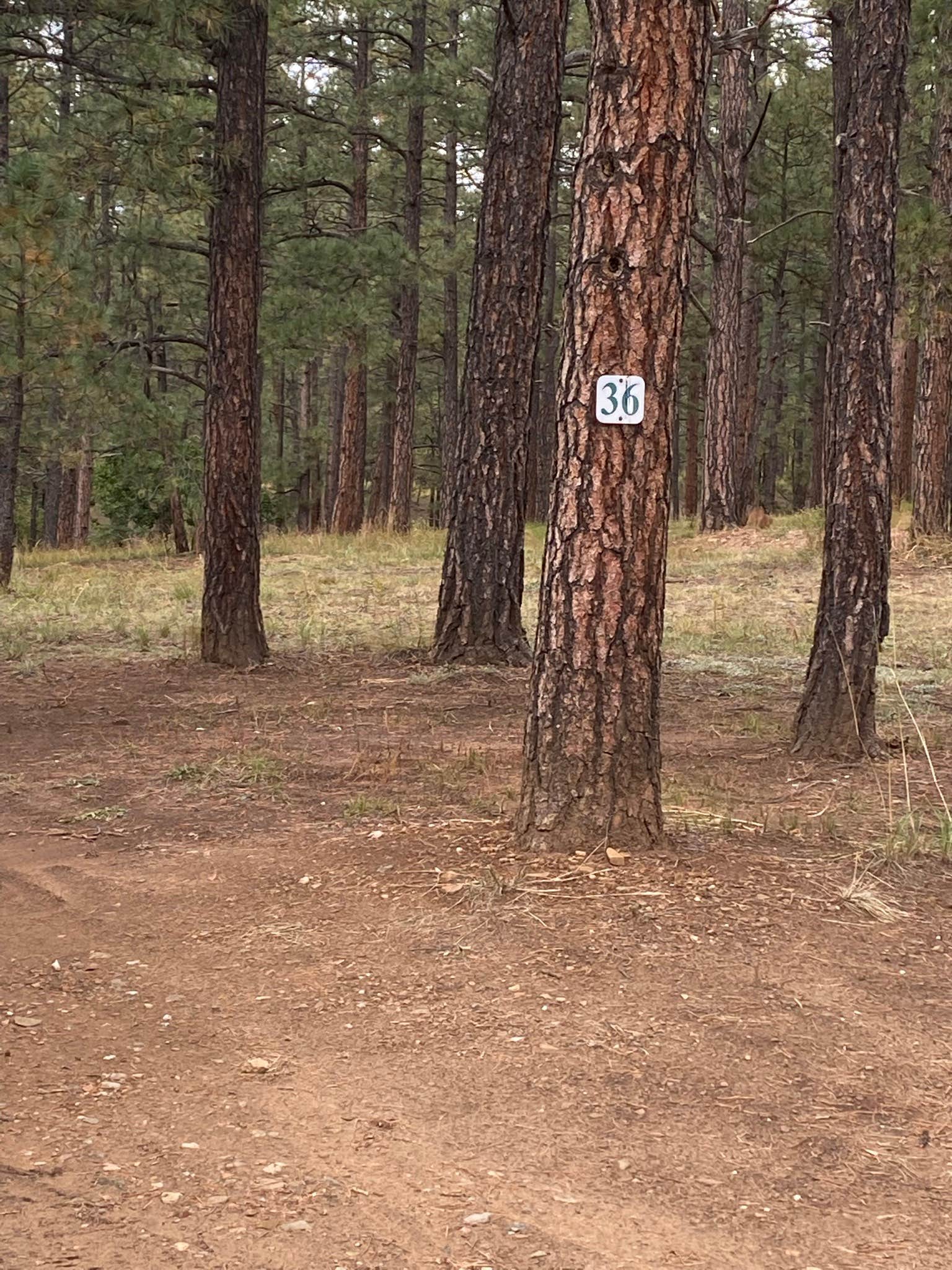 Pendaries RV Resort | Rociada / Pendaries, NM