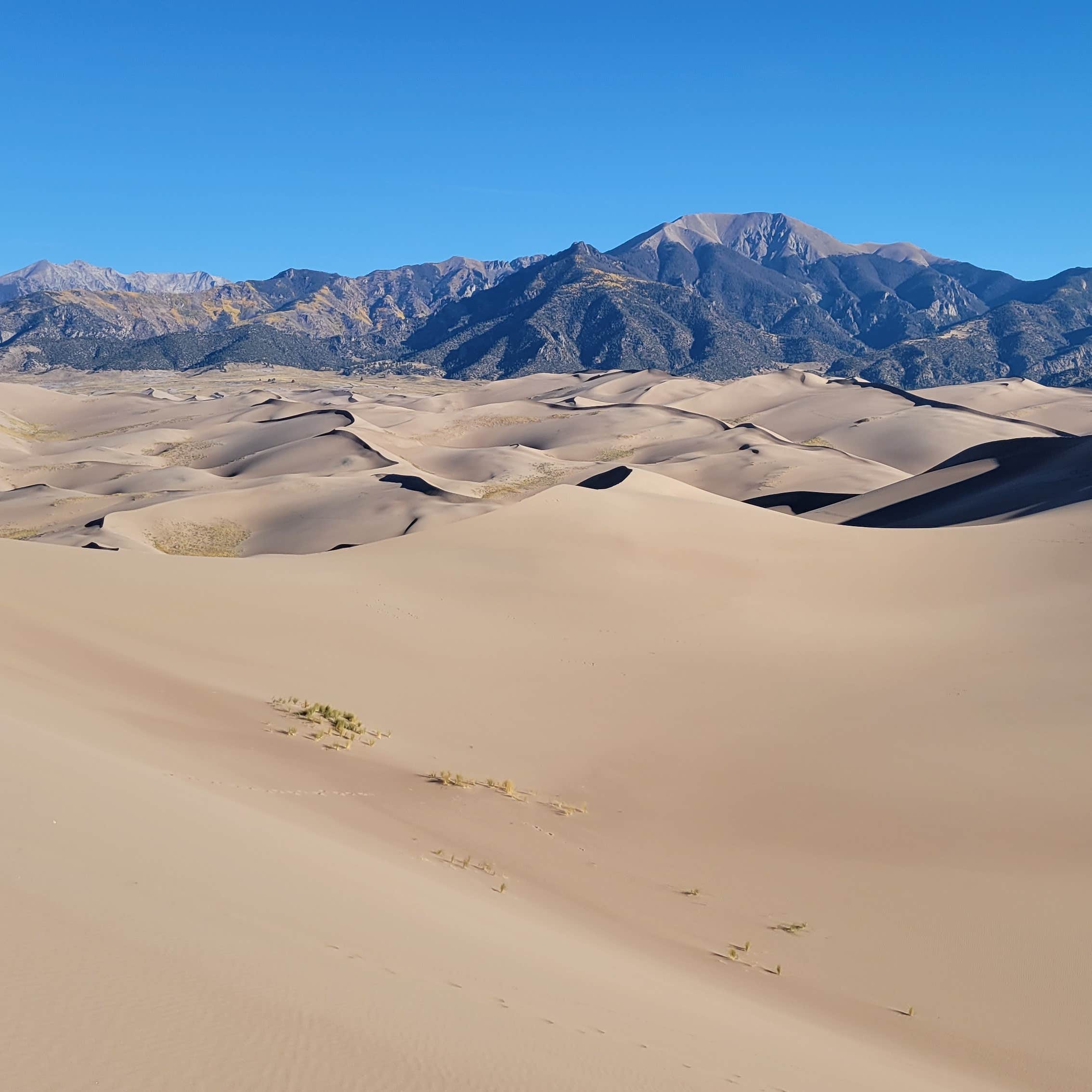 The Dunefield — Great Sand Dunes National Park Camping | Great Sand ...