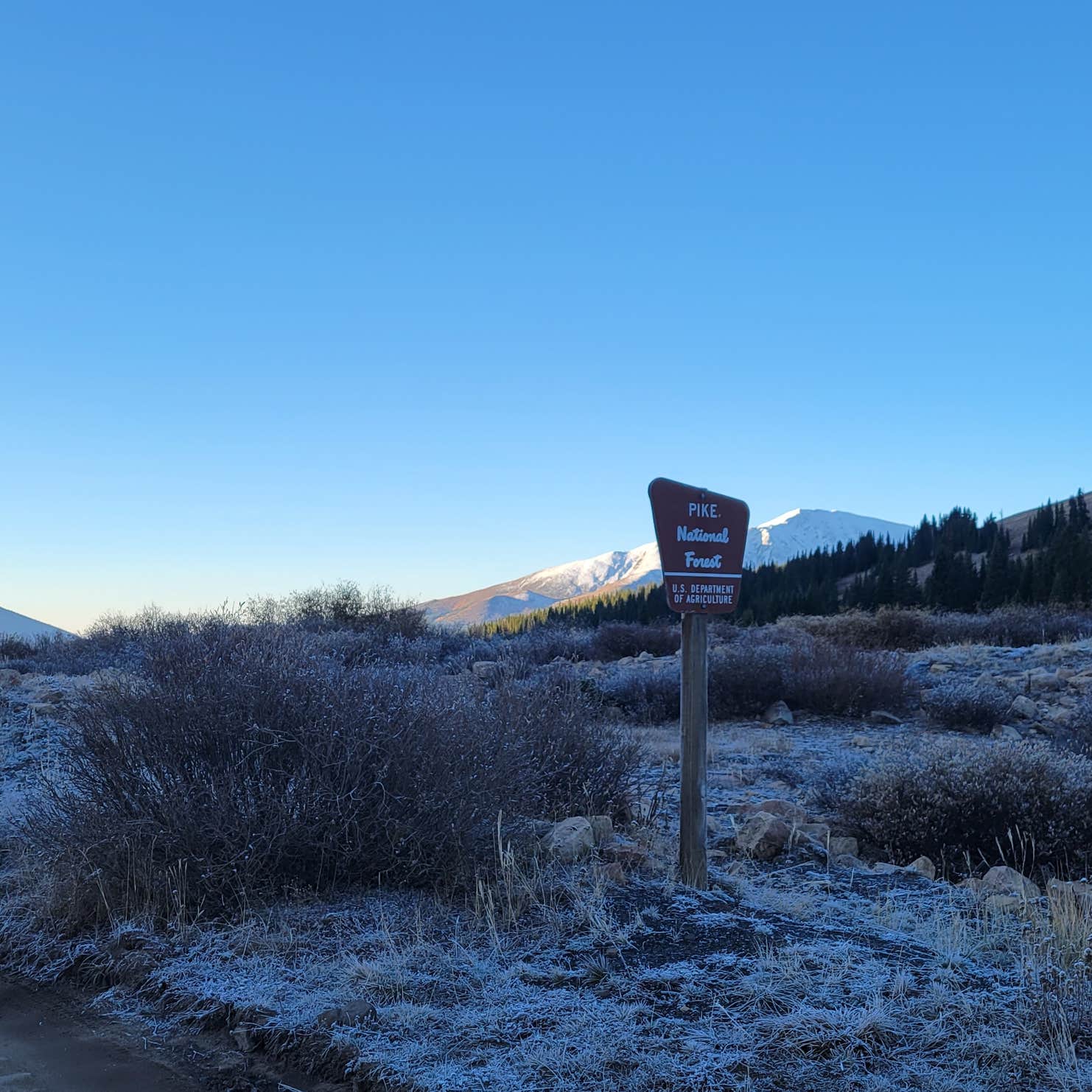 Boreas Pass Road Designated Dispersed Camping Camping | The Dyrt