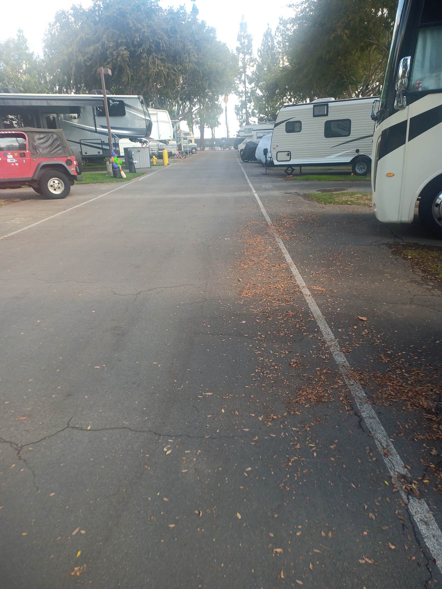 Fairplex RV Park Camping | The Dyrt