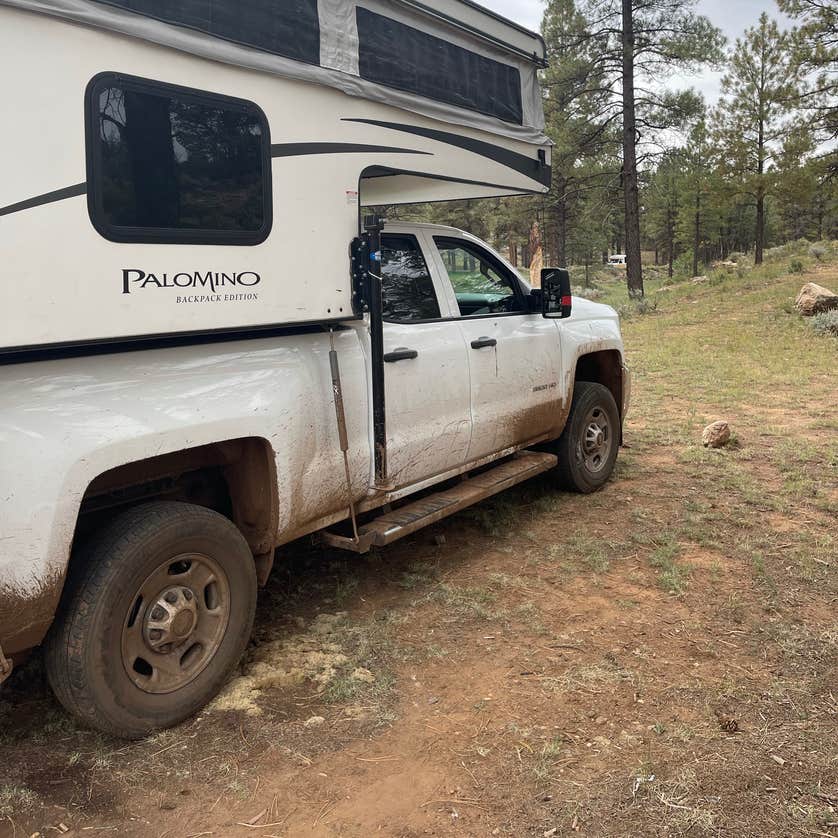 Long Jim Loop Camping | The Dyrt