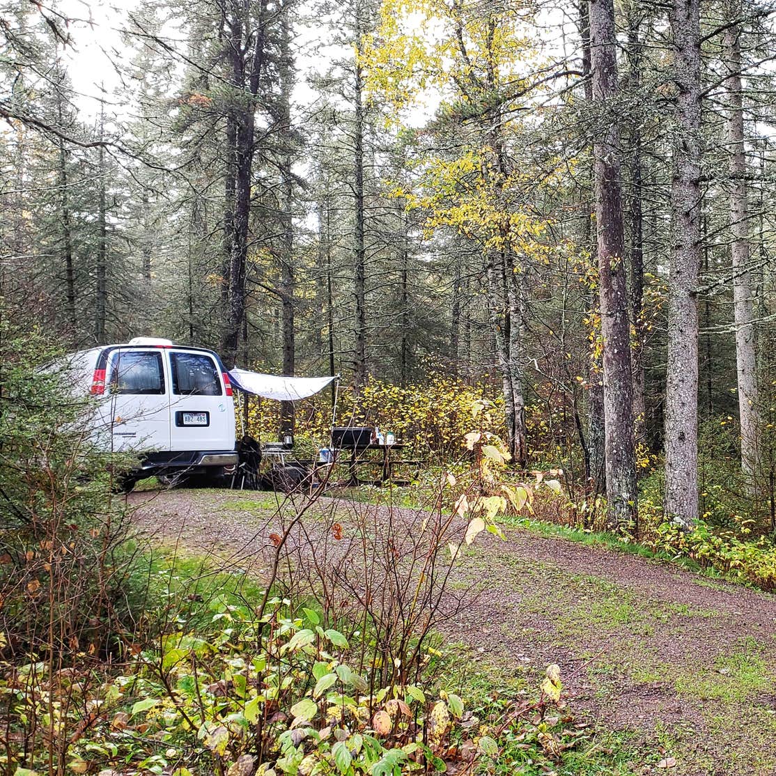 Finland State Forest Campground | Finland, Minnesota
