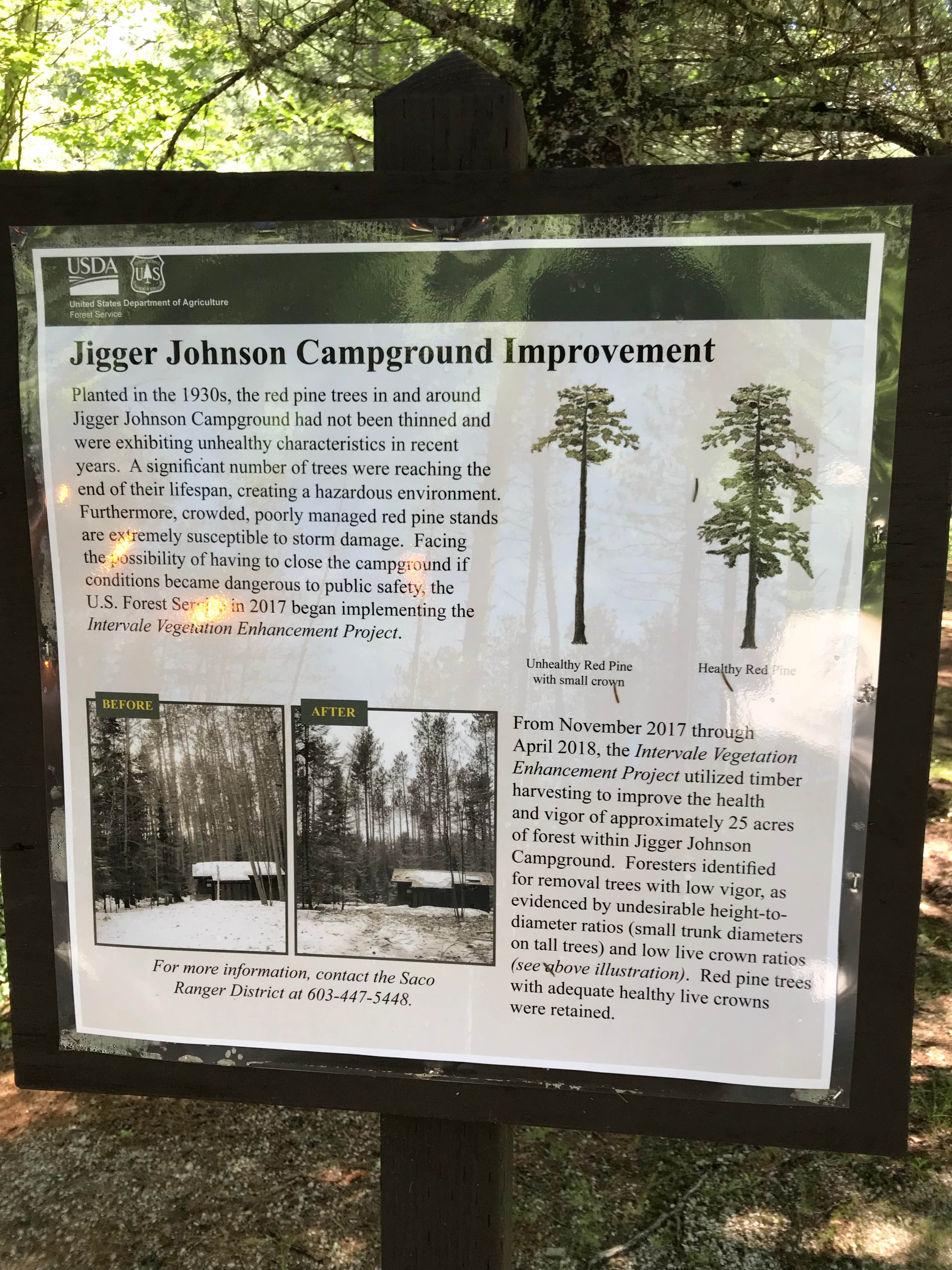 Jigger Johnson Campground | Bartlett, New Hampshire