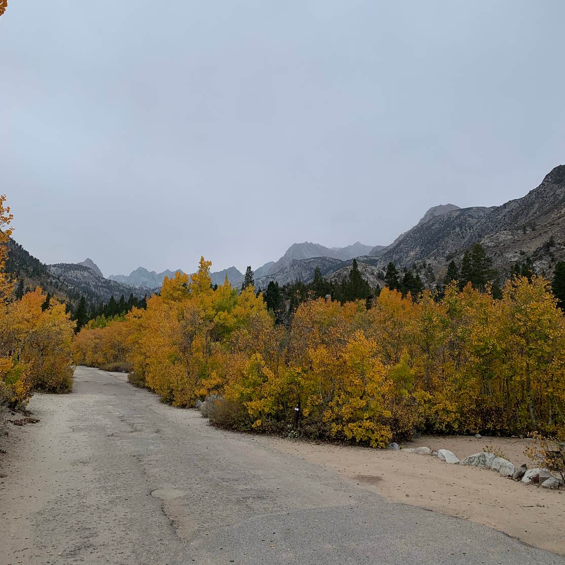 Sabrina Campground | Bishop, California
