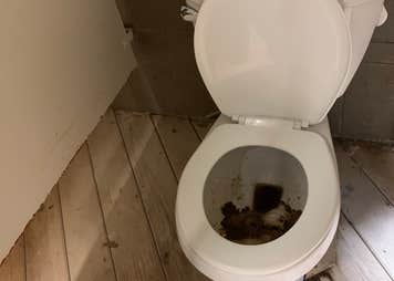 Phoenicia Black Bear Campground Camping | The Dyrt