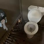 Phoenicia Black Bear Campground Camping | The Dyrt