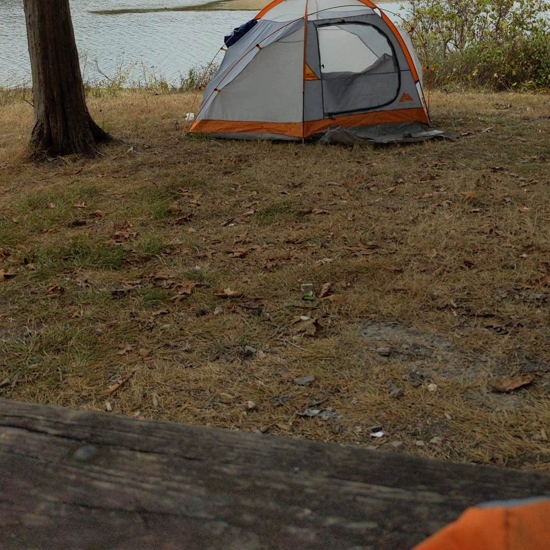 Cedar Fourche Campground | Ouachita Lake, Arkansas