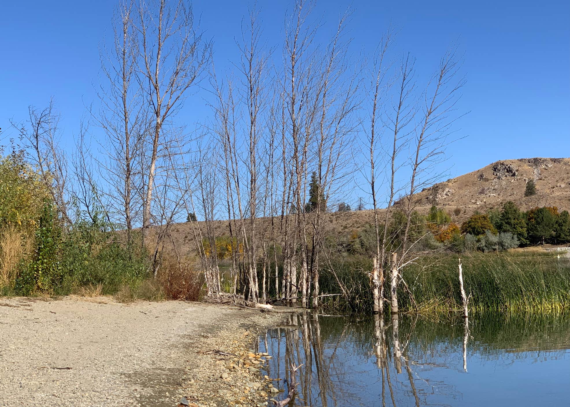 Alta Lake State Park Camping | The Dyrt