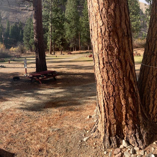 Sula Country Store and Resort Camping | Sula, Montana