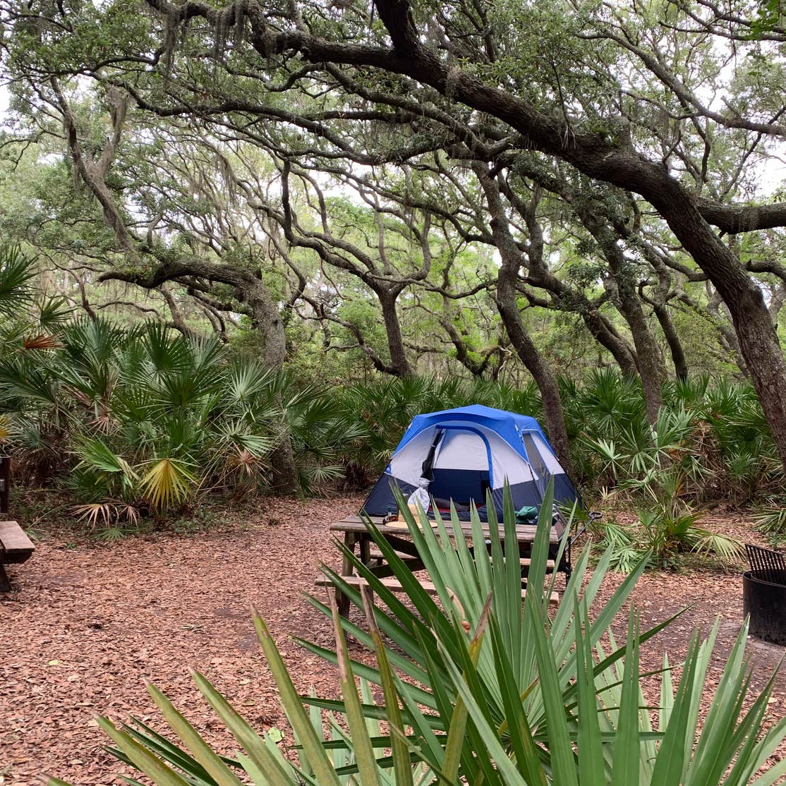 Sea Camp Campground — Cumberland Island National Seashore | Fernandina ...