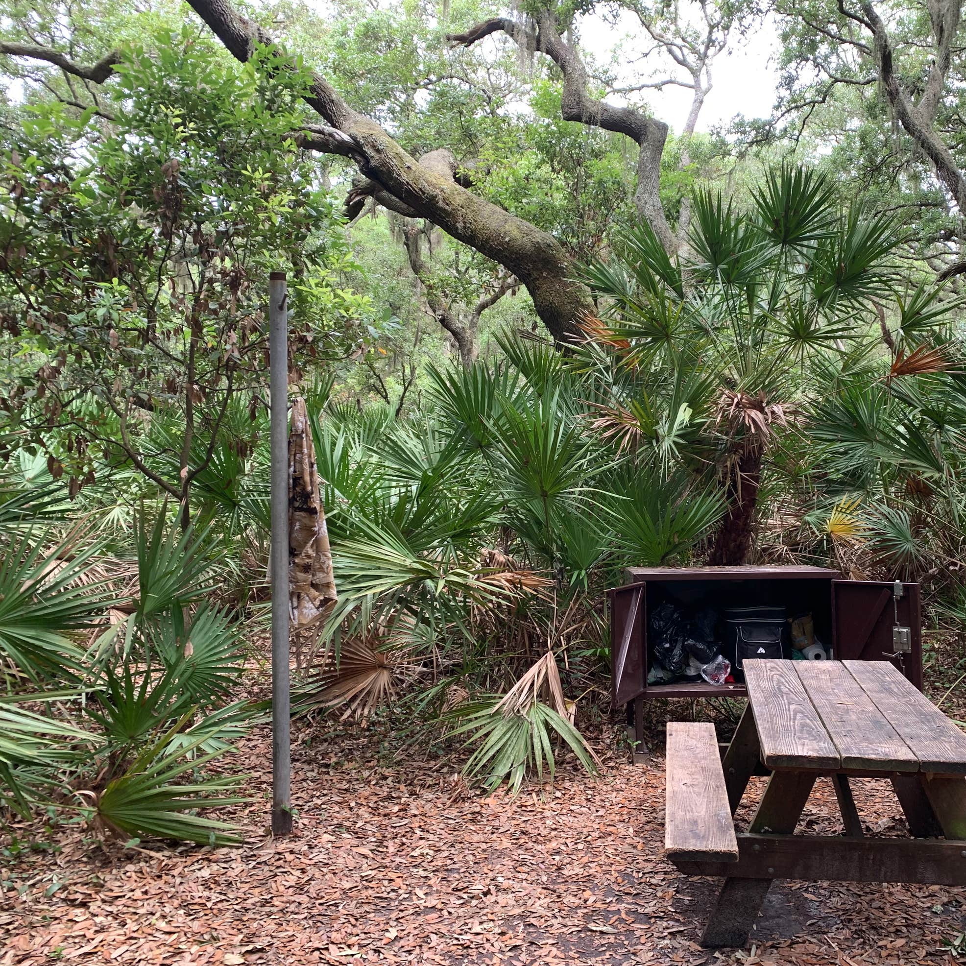 Sea Camp Campground — Cumberland Island National Seashore | Fernandina ...