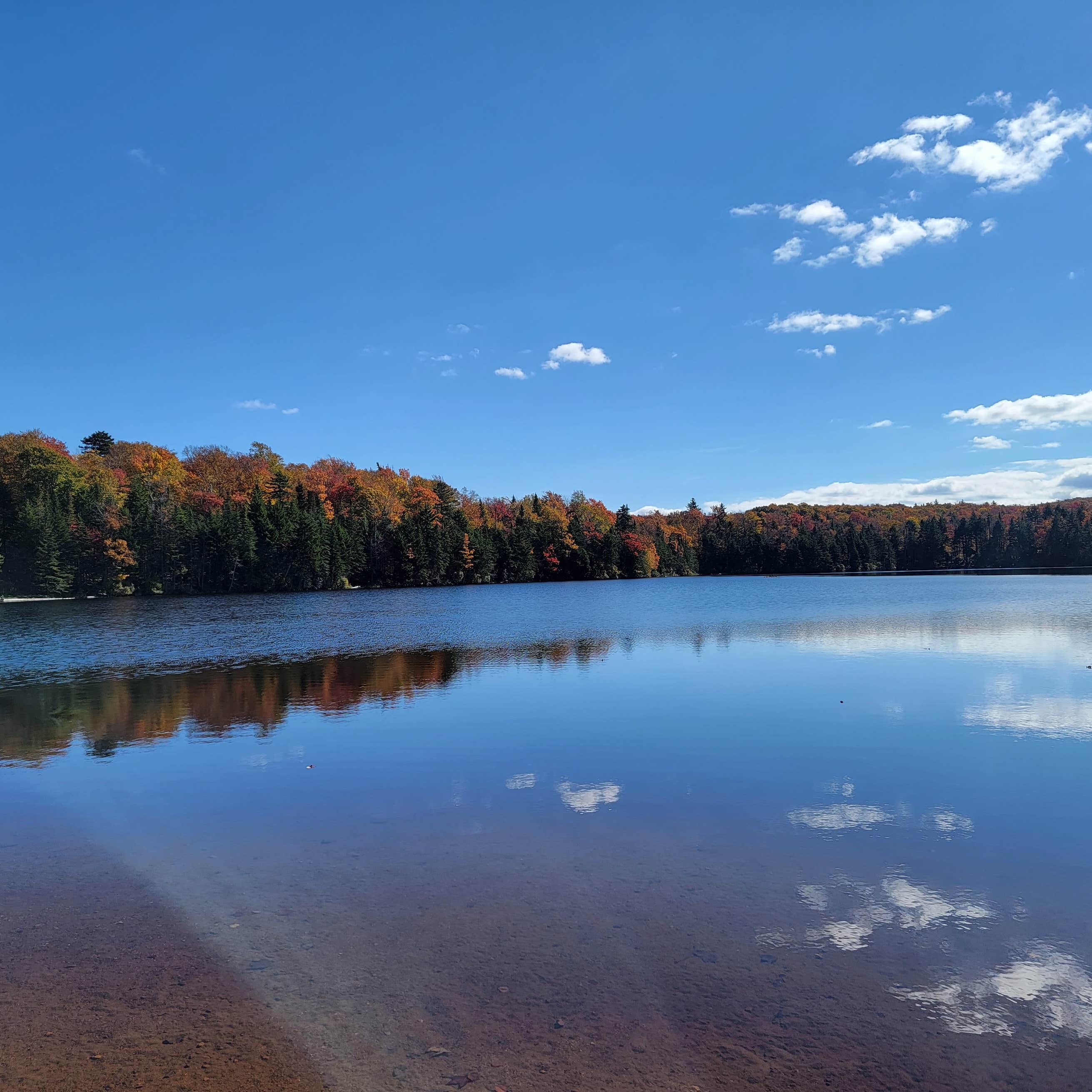 Woodford State Park Campground | Woodford, VT