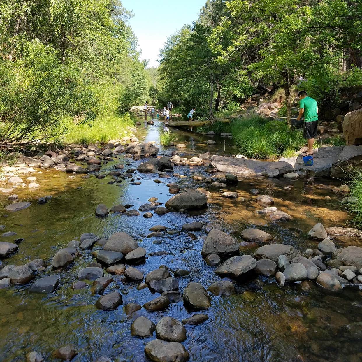 Christopher Creek Camping | The Dyrt