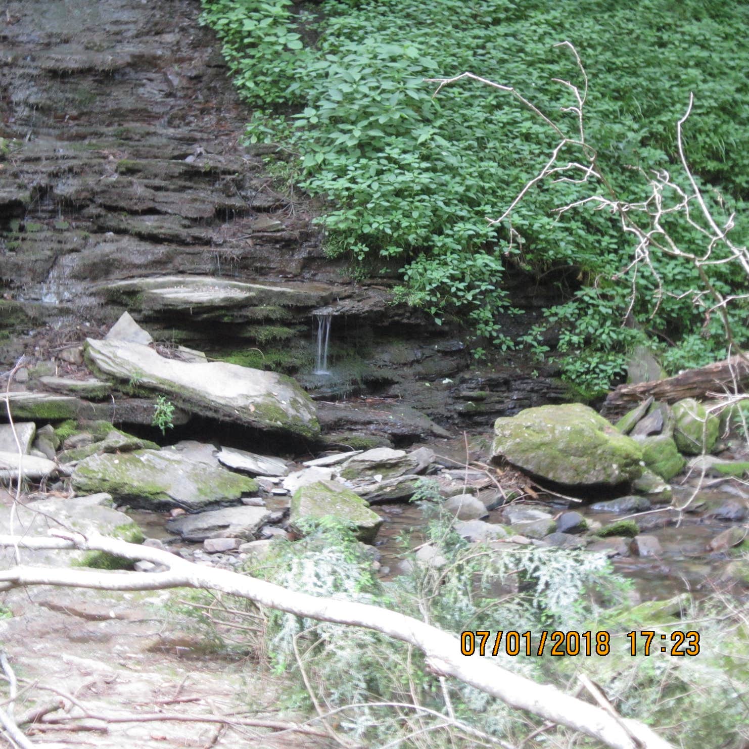 Allegany State Park - Red House Area Camping | The Dyrt