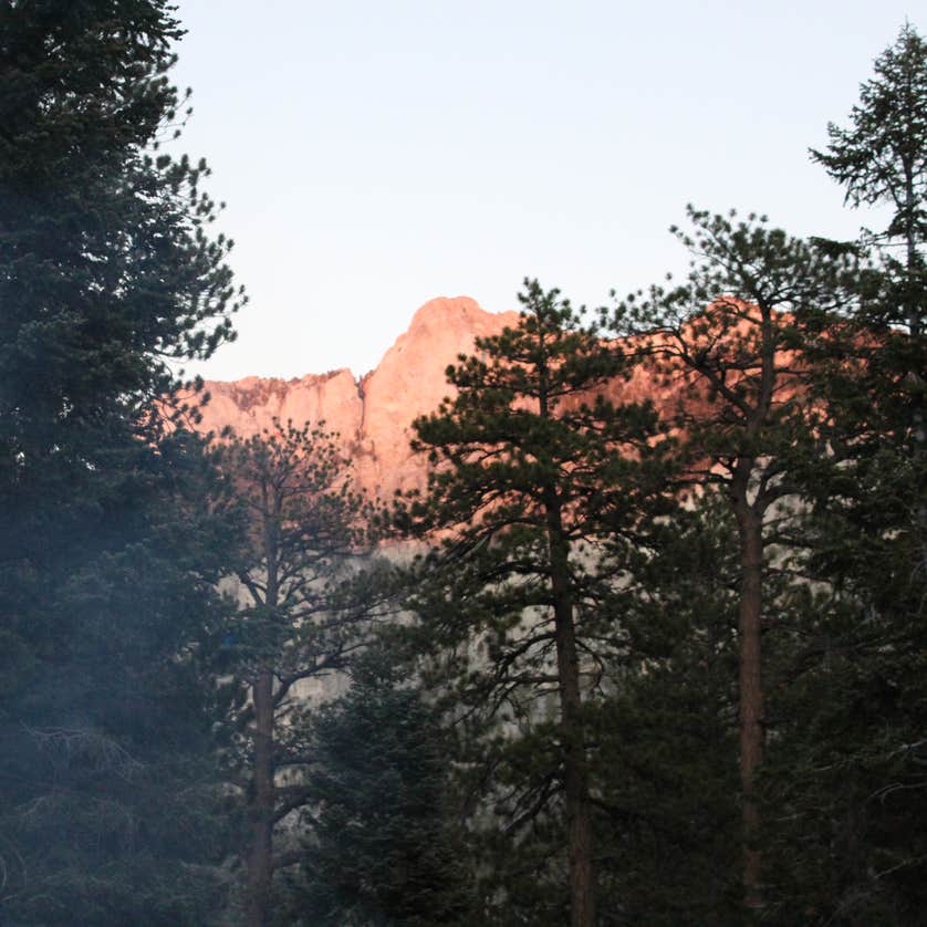 Toiyabe National Forest McWilliams Campground | Mount Charleston, Nevada