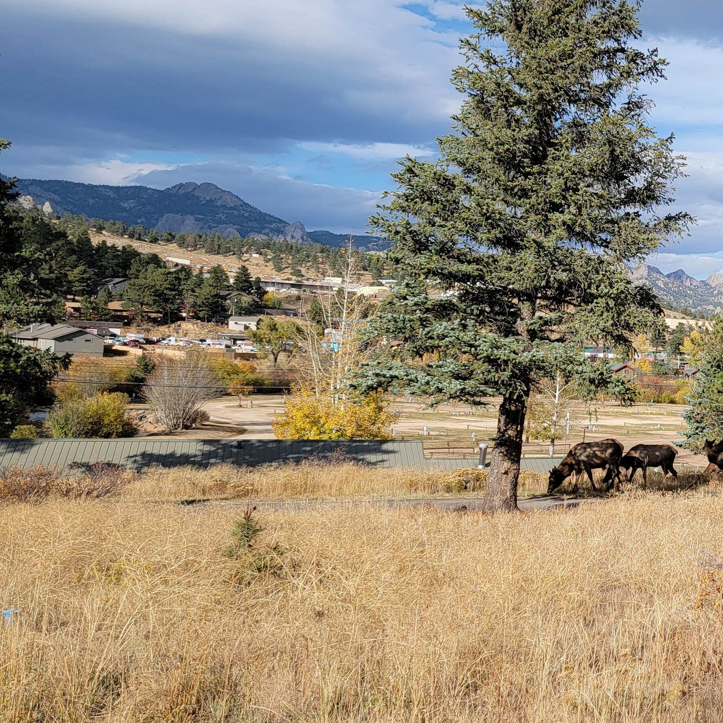 Spruce Lake RV Park | Estes Park, Colorado