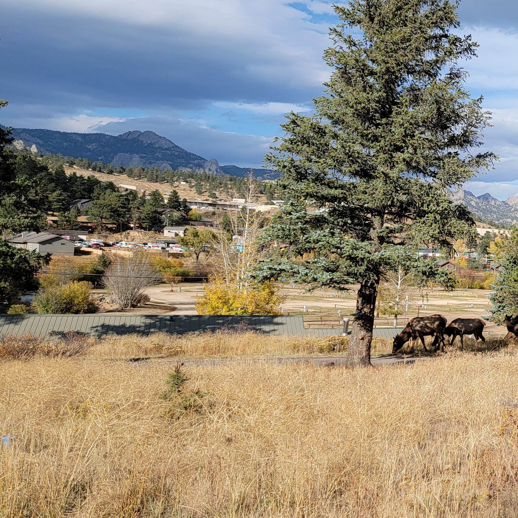 Spruce Lake RV Park | Estes Park, Colorado