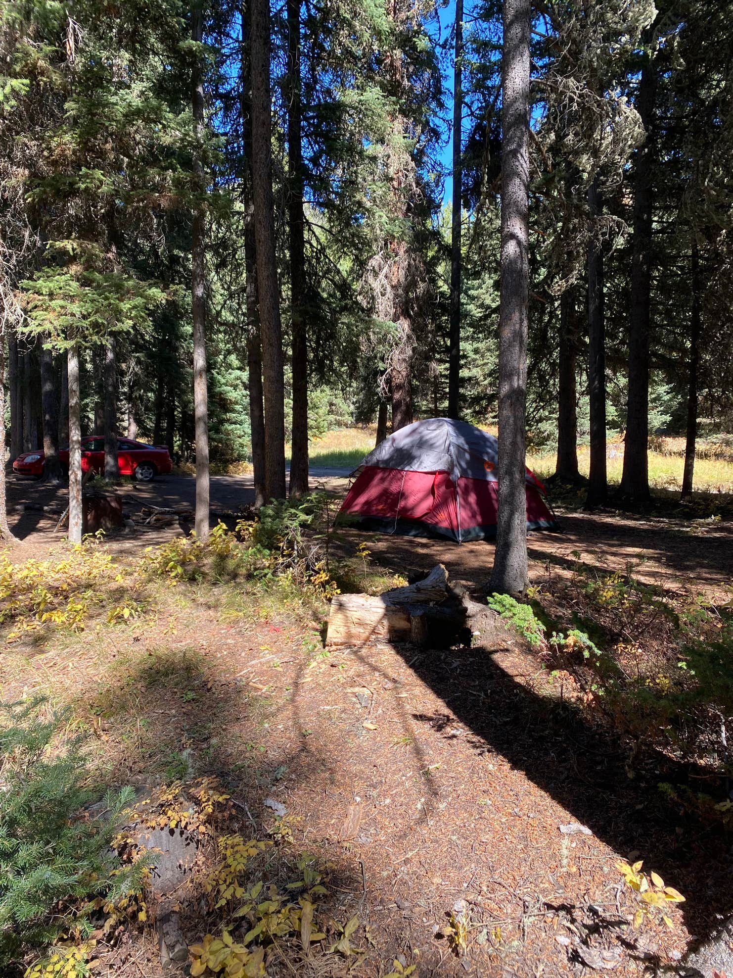 Timber Camp Campground Camping | The Dyrt