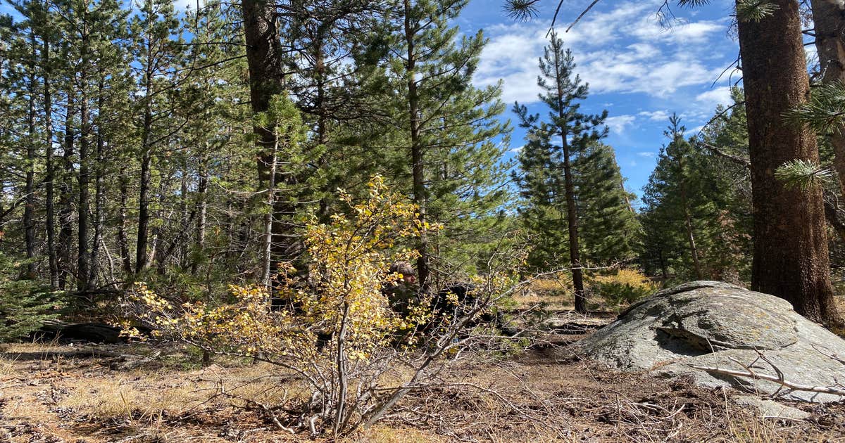 FR 22S05 - Dispersed Site Camping | Johnsondale, California