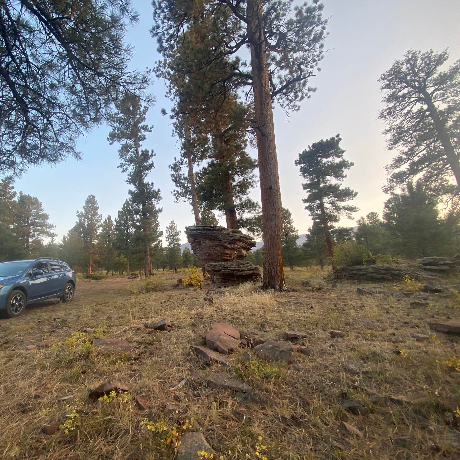 Utah Forest Road 13 Dispersed Camping | Ashley National Forest, Utah