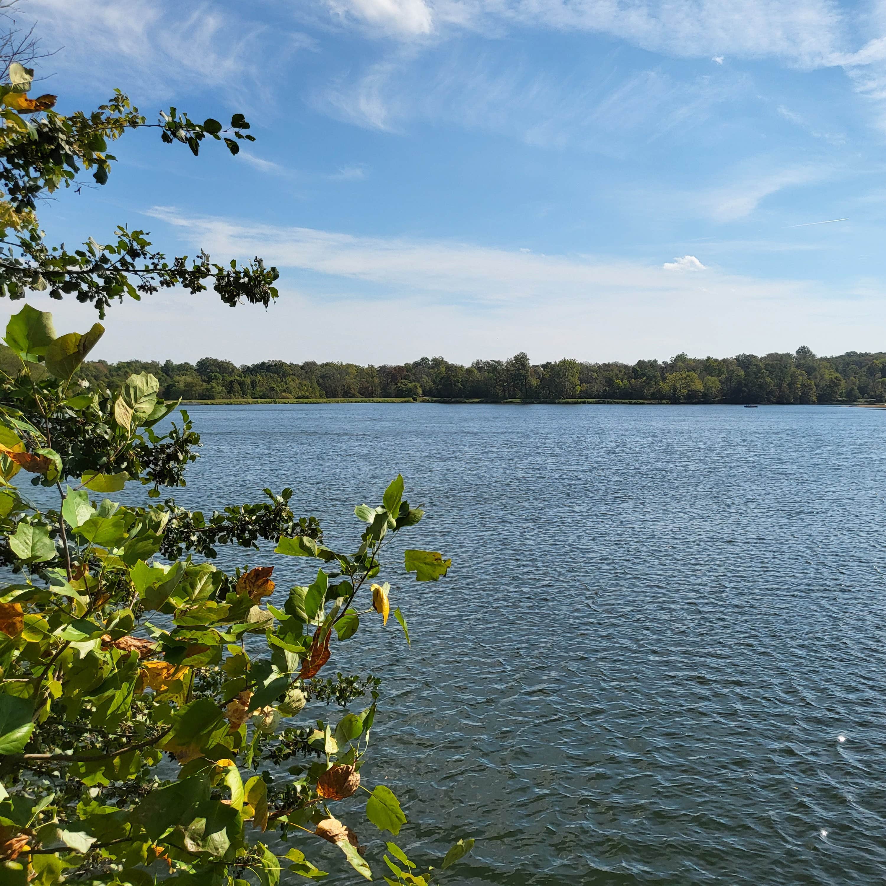 Scales Lake Park Camping | Boonville, Indiana