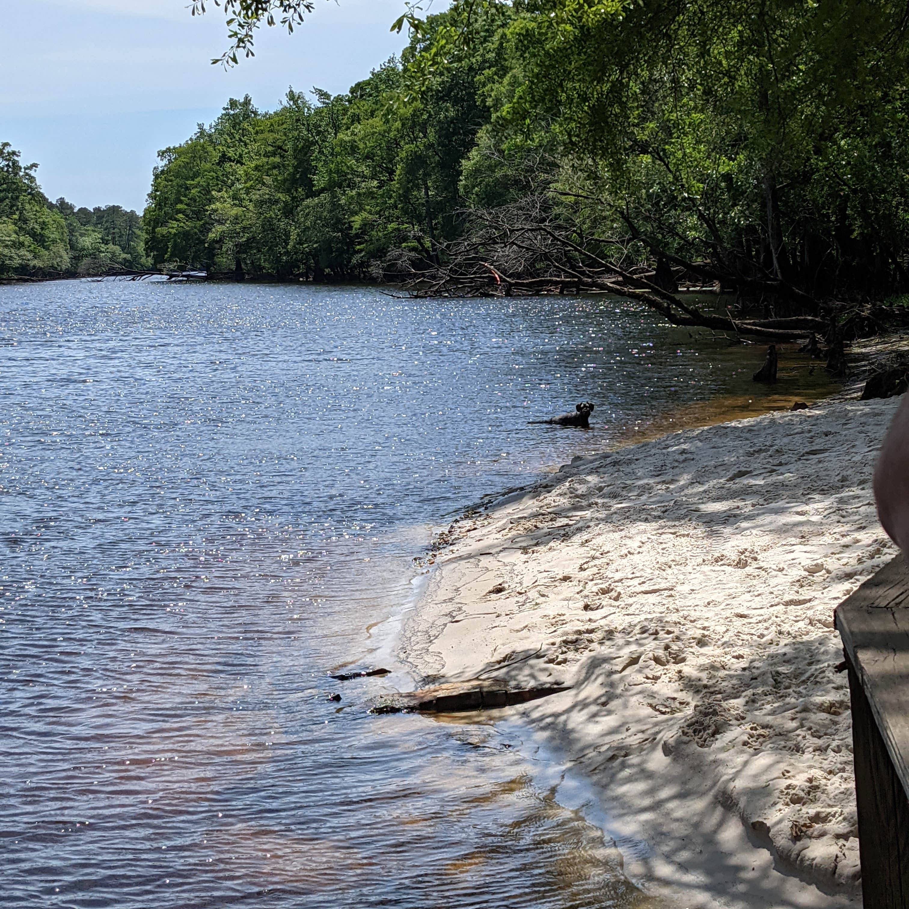 Black River Camping Ventures Camping | The Dyrt