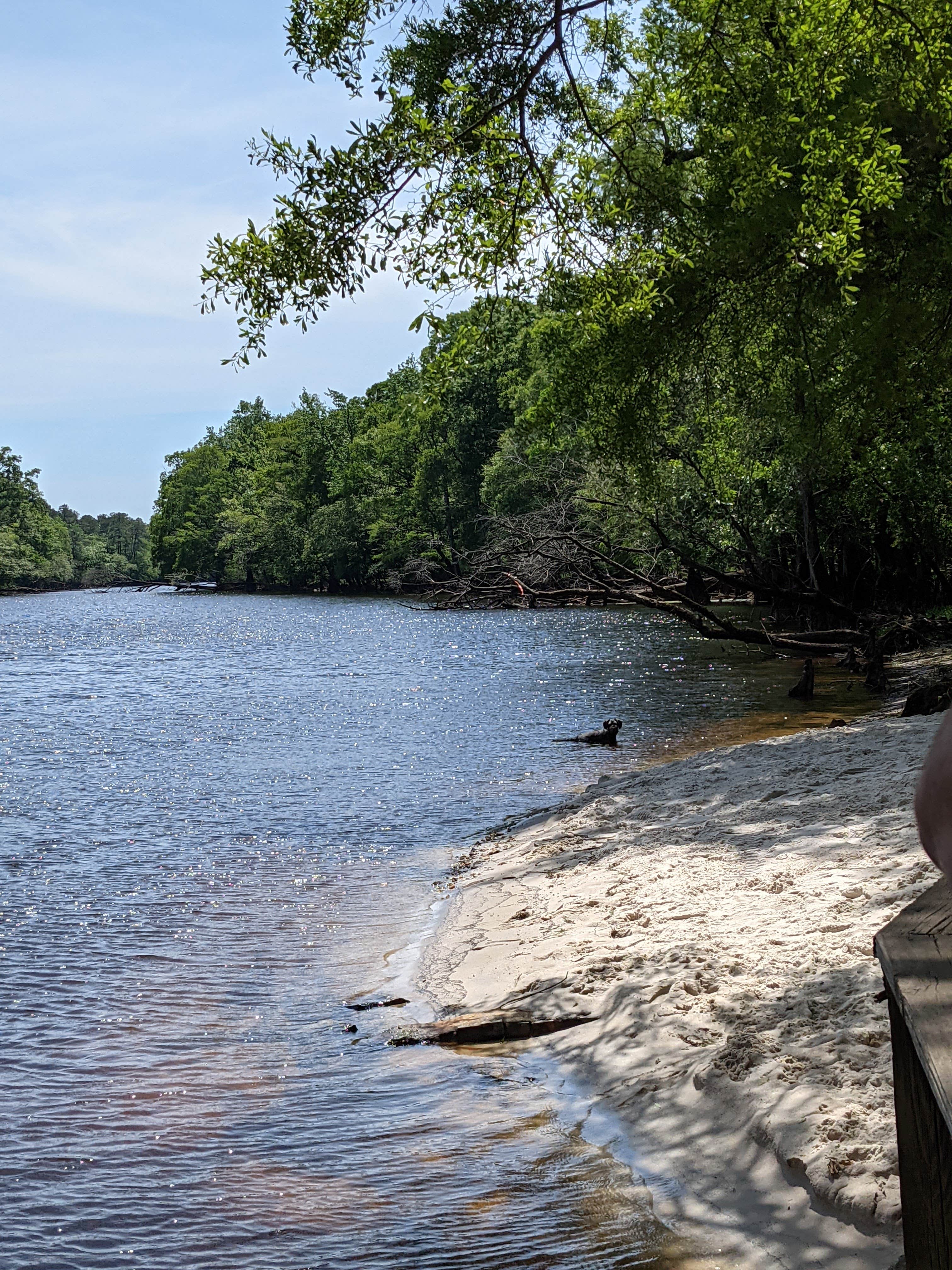Black River Camping Ventures | Ivanhoe, NC