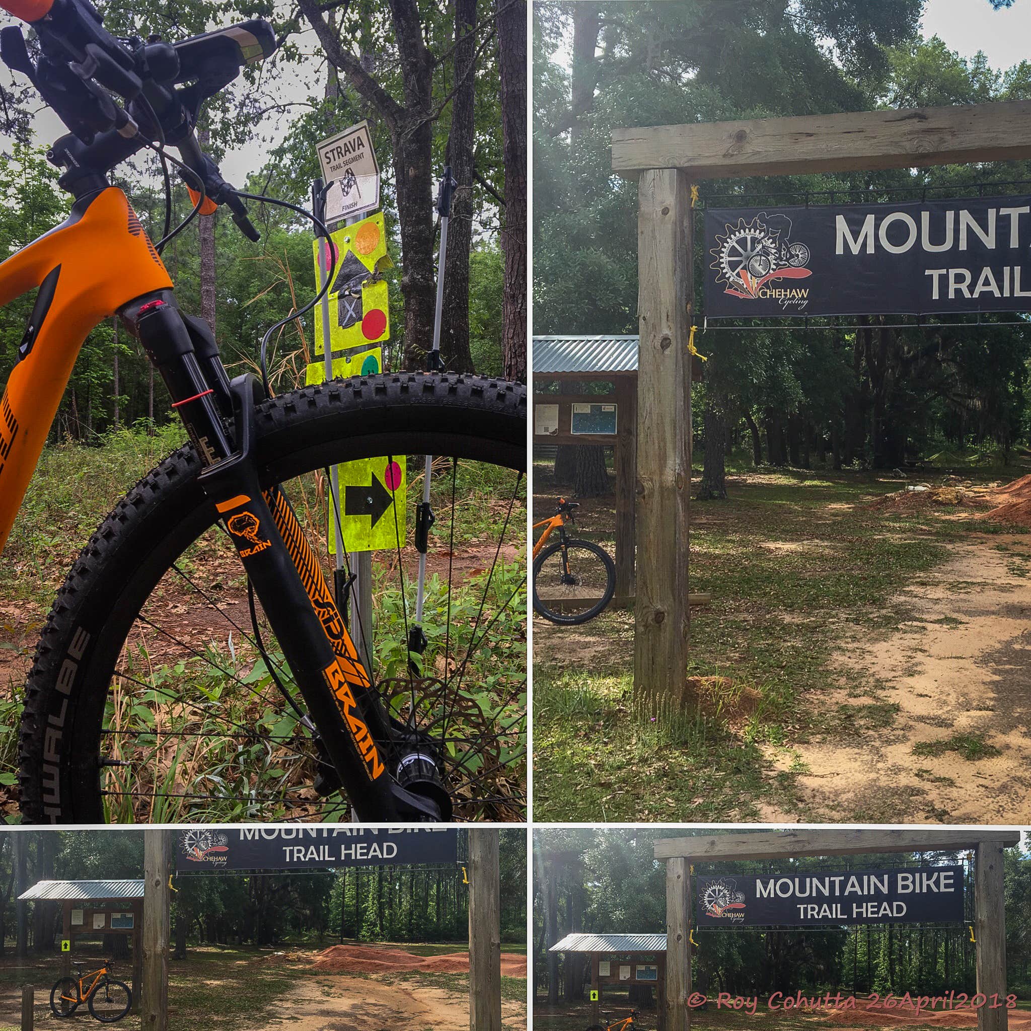 Chehaw Park Campground | Albany, Georgia