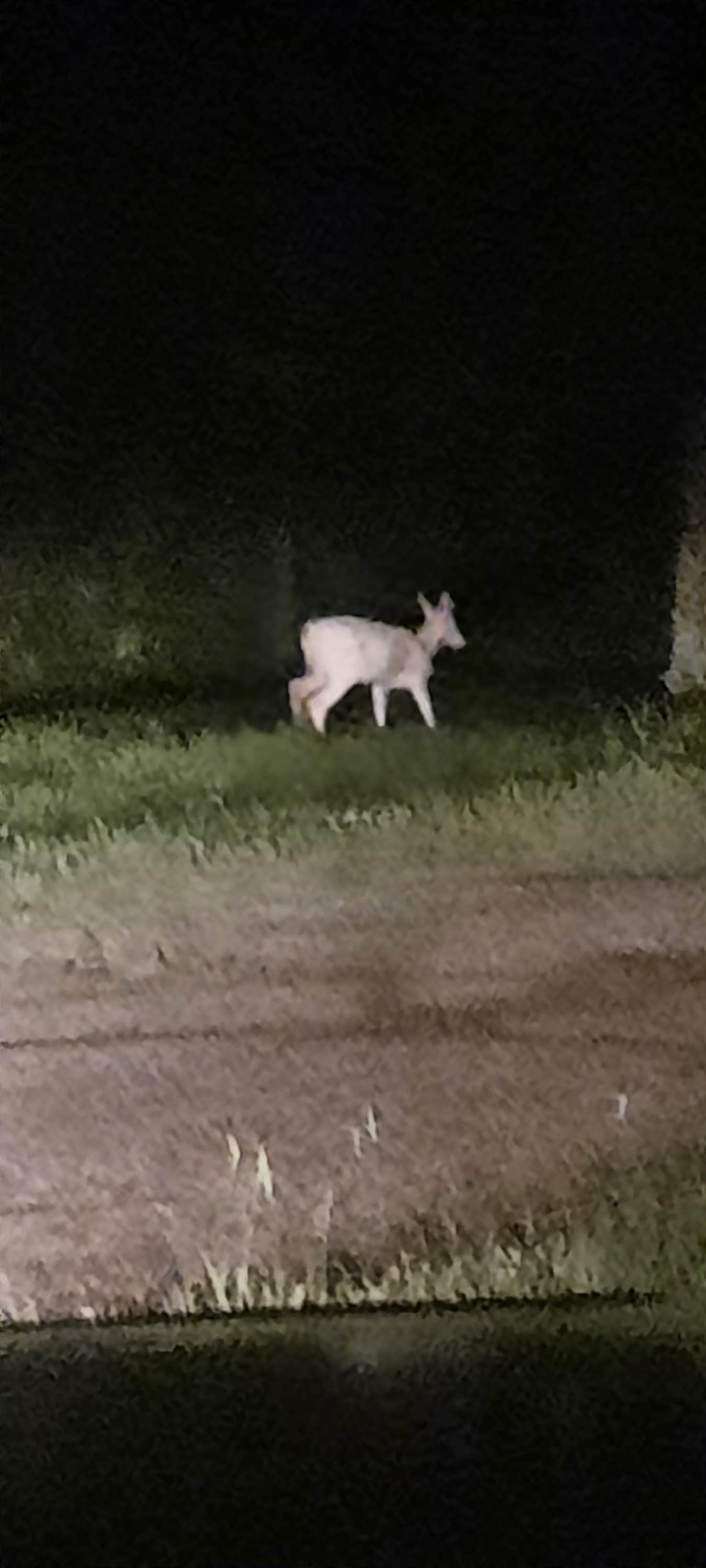 Marathon Park Campround | Wausau, WI