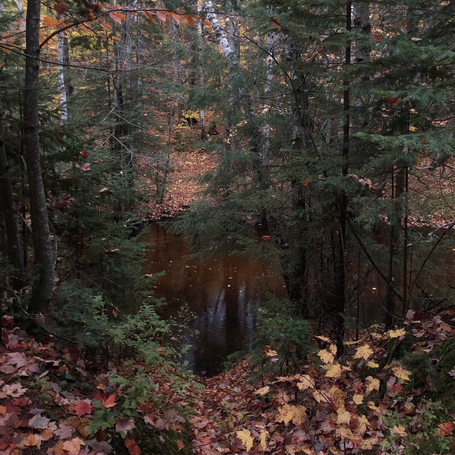 Chapel Beach Backcountry Campsites — Pictured Rocks National Lakeshore ...
