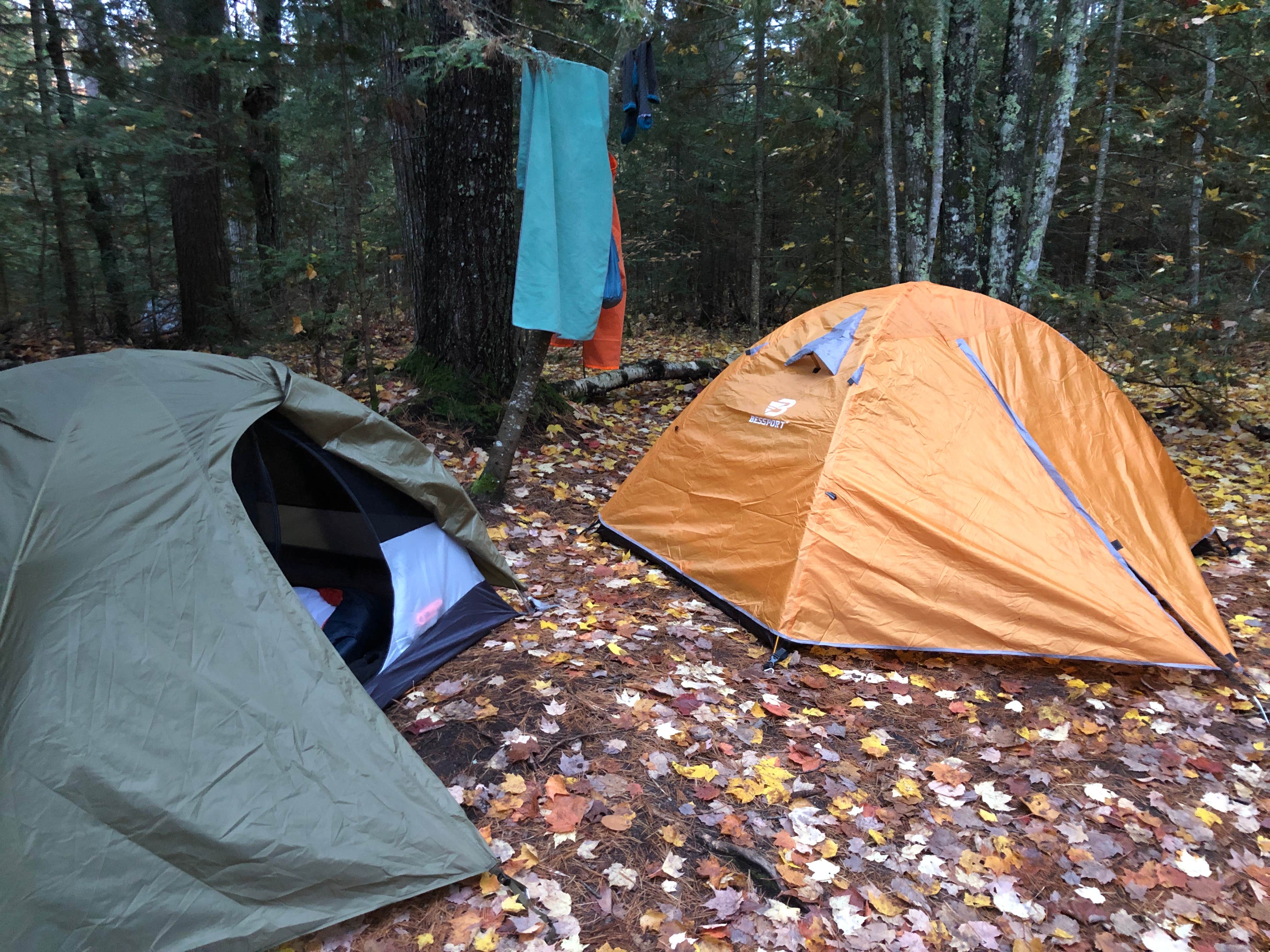 Chapel Beach Camping | The Dyrt