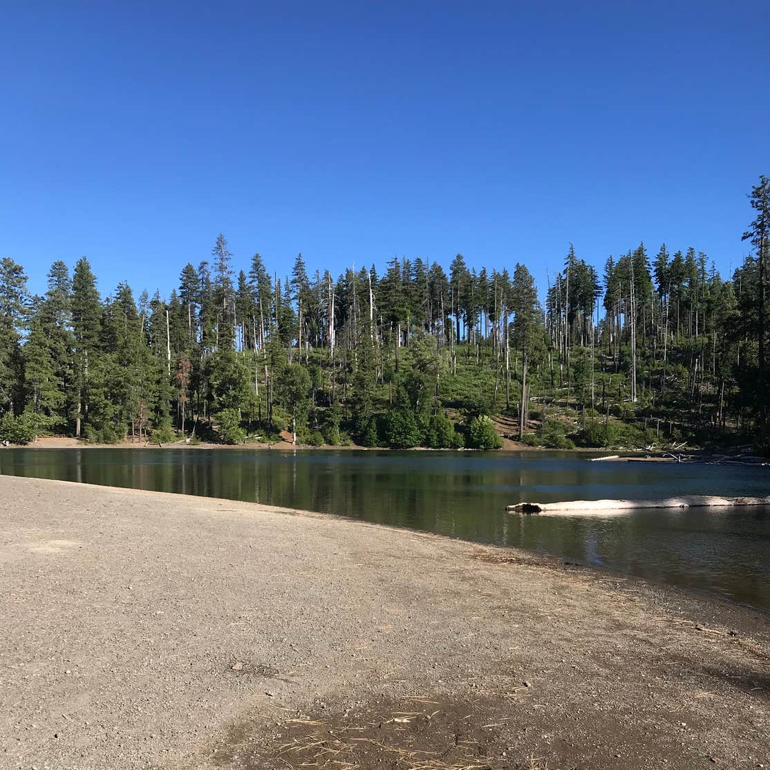 Scout Lake Camping | Camp Sherman, OR