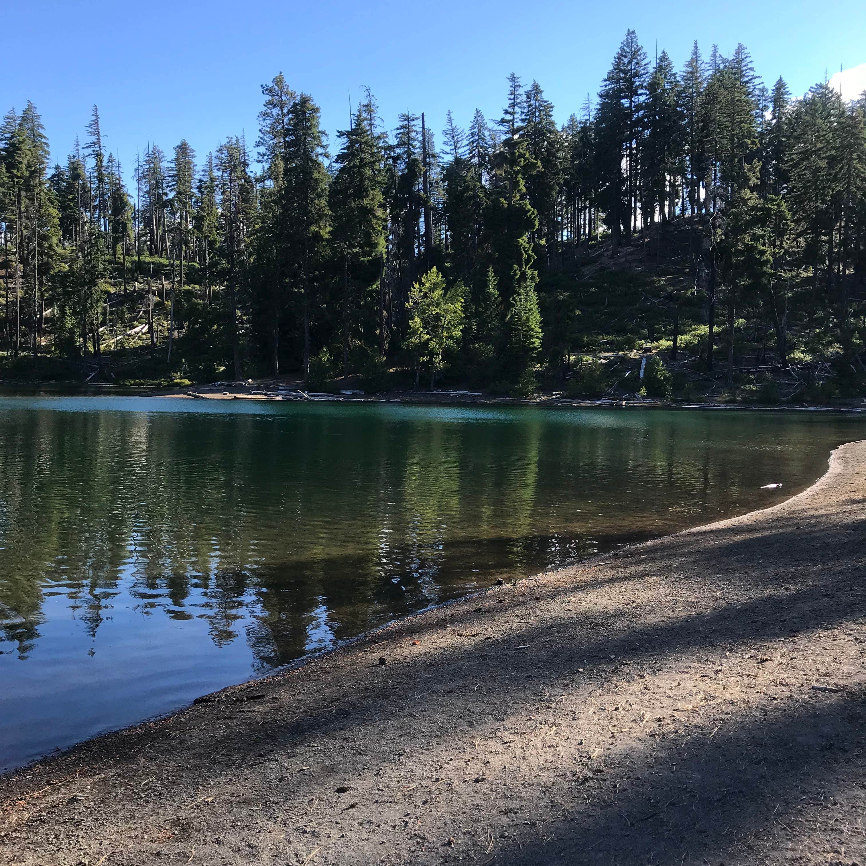 Escape To Serenity: Your Guide To Scout Lake State Recreation Site