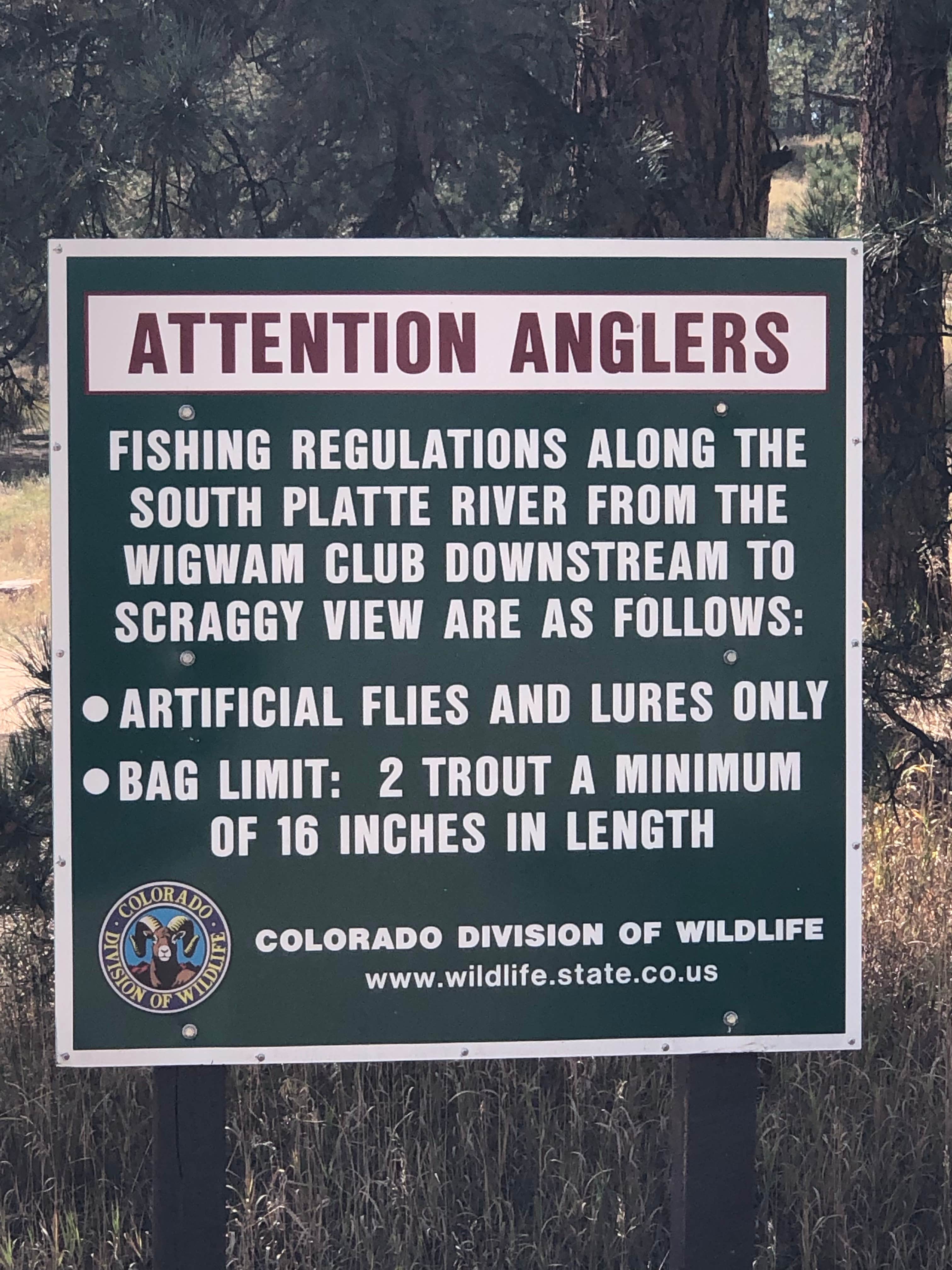 Platte River Campground | Deckers, Colorado