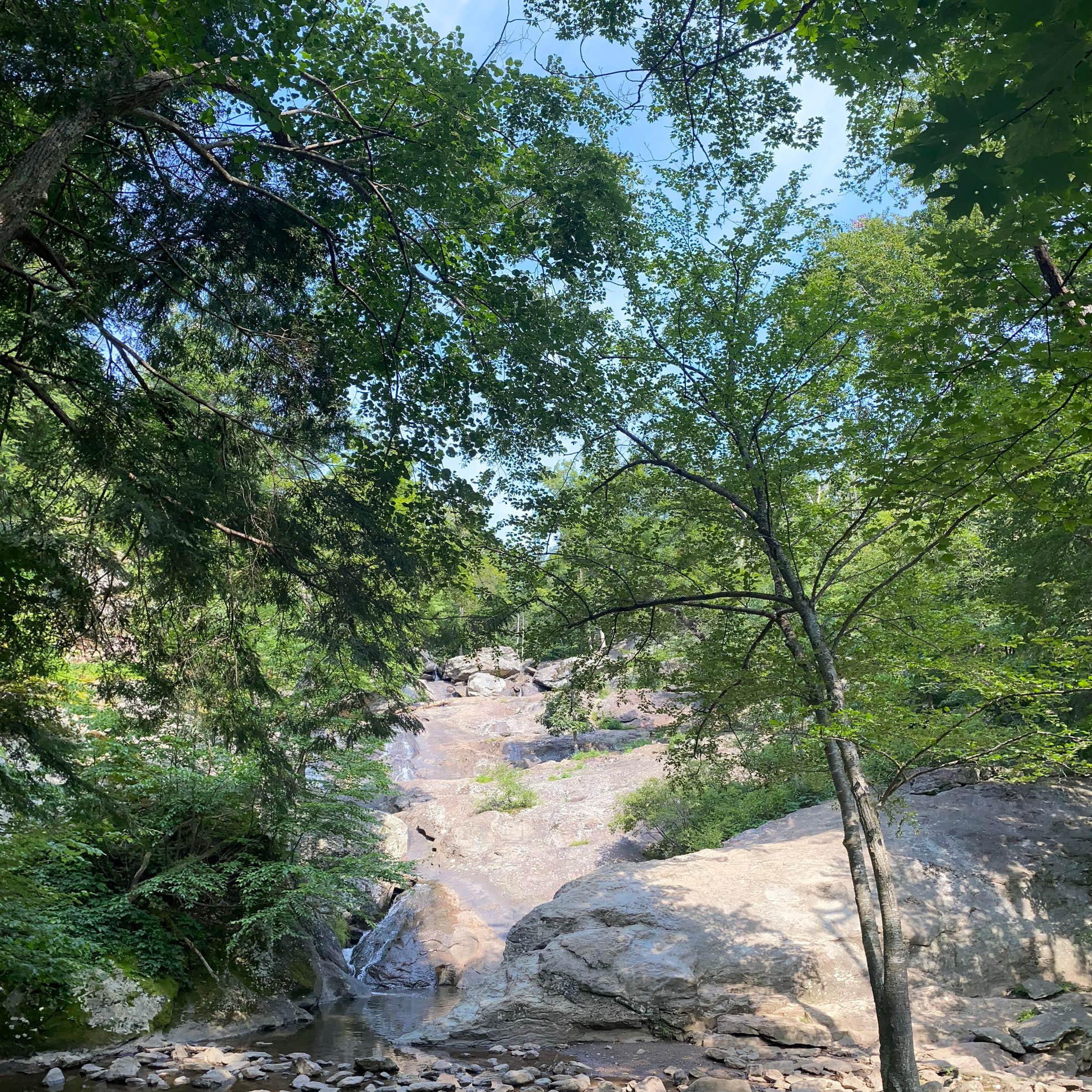 Cunningham Falls State Park Manor Area Camping | Thurmont, Maryland