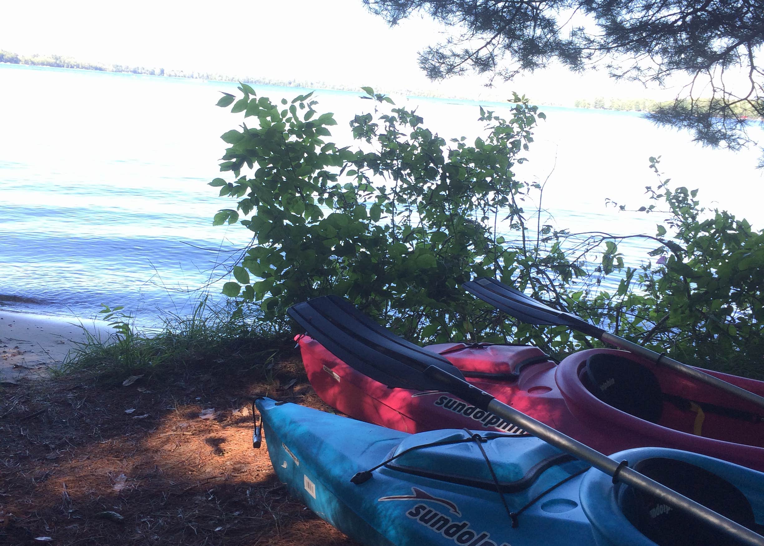 Green Lake Rustic South- Interlochen State Park Camping | The Dyrt