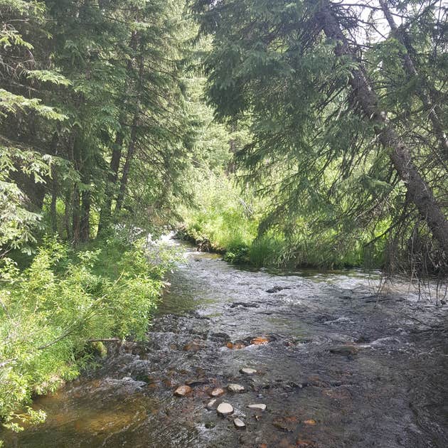 Idlewild Campground | Winter Park, CO