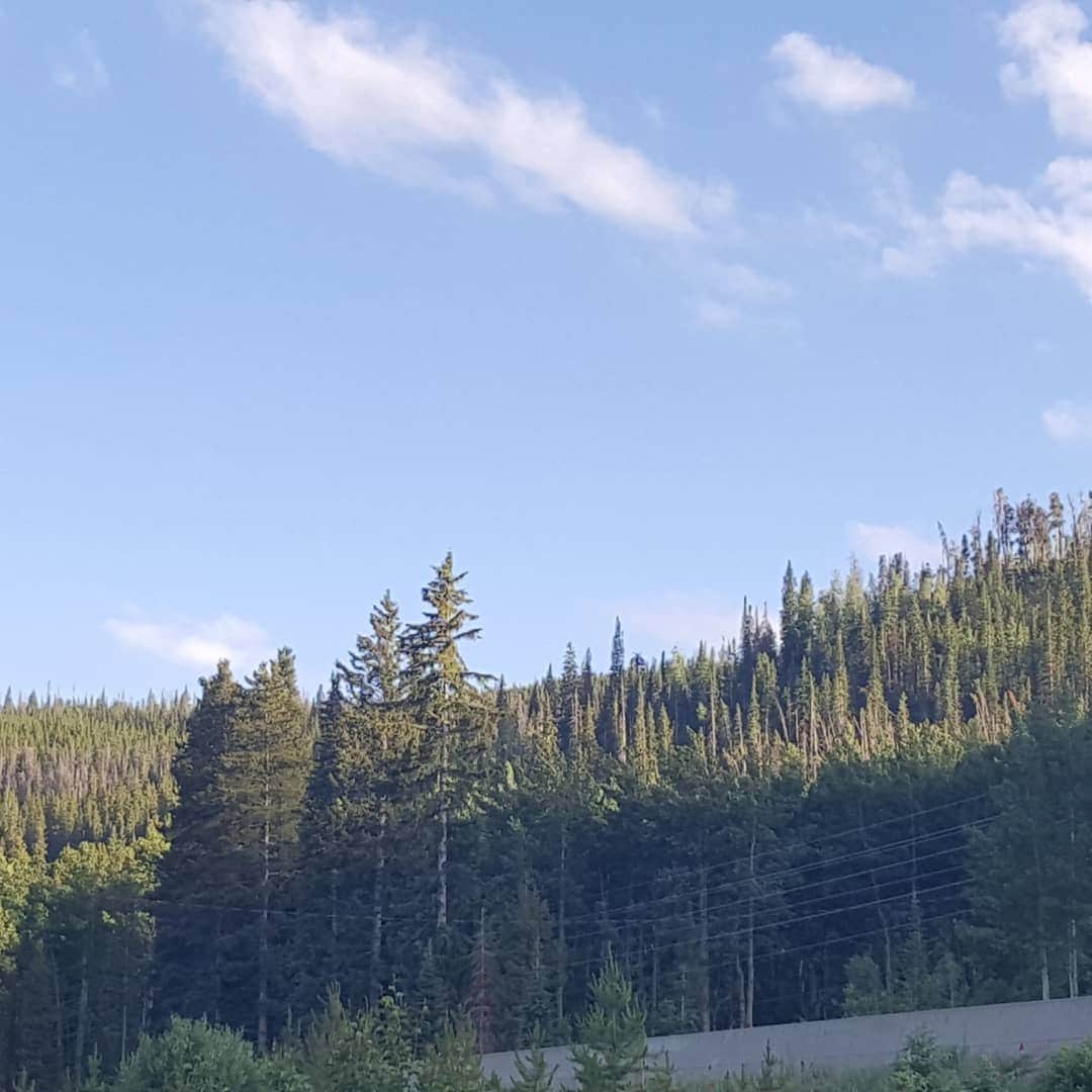 Idlewild Campground | Winter Park, Colorado