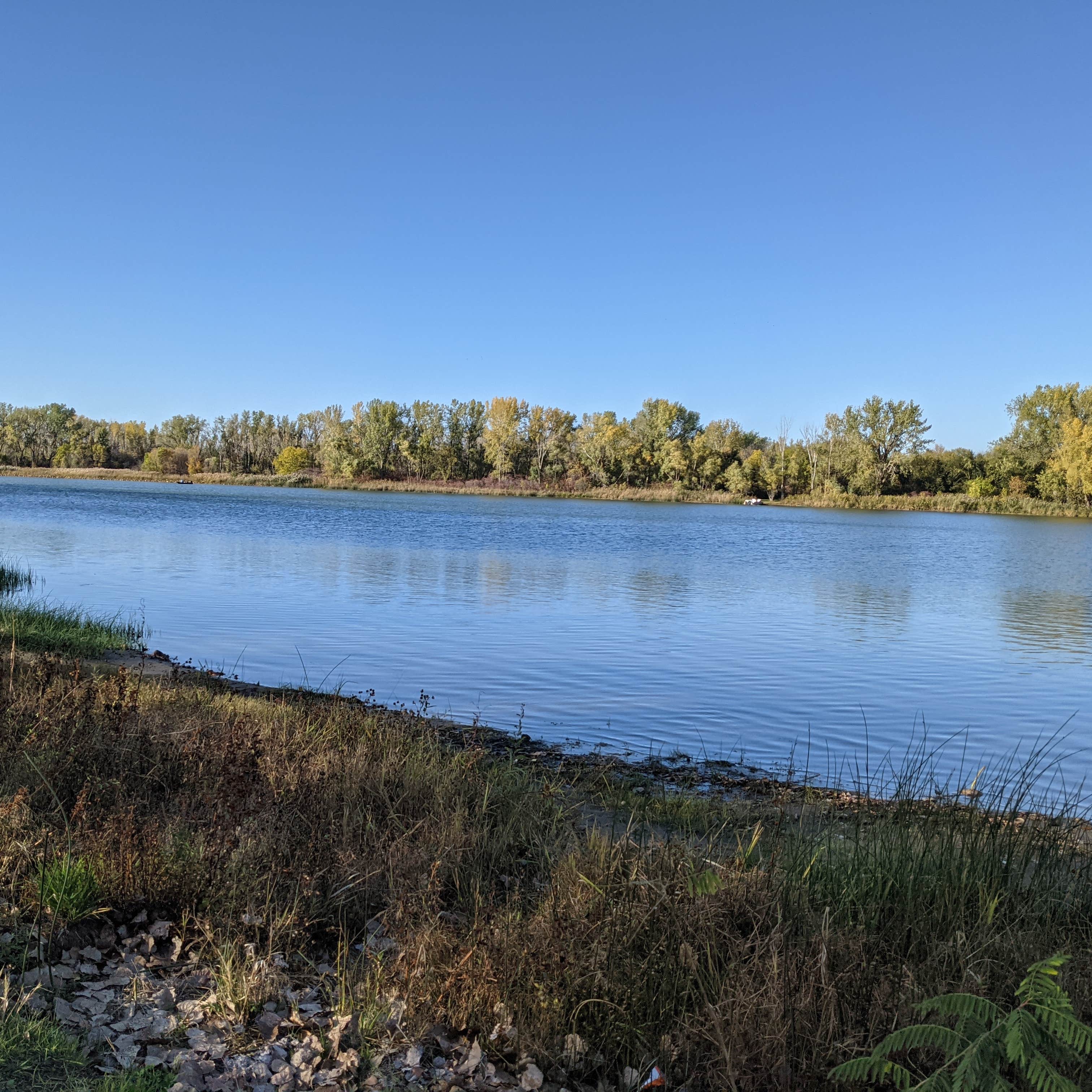 Lewis and Clark State Park Campground | Onawa, IA