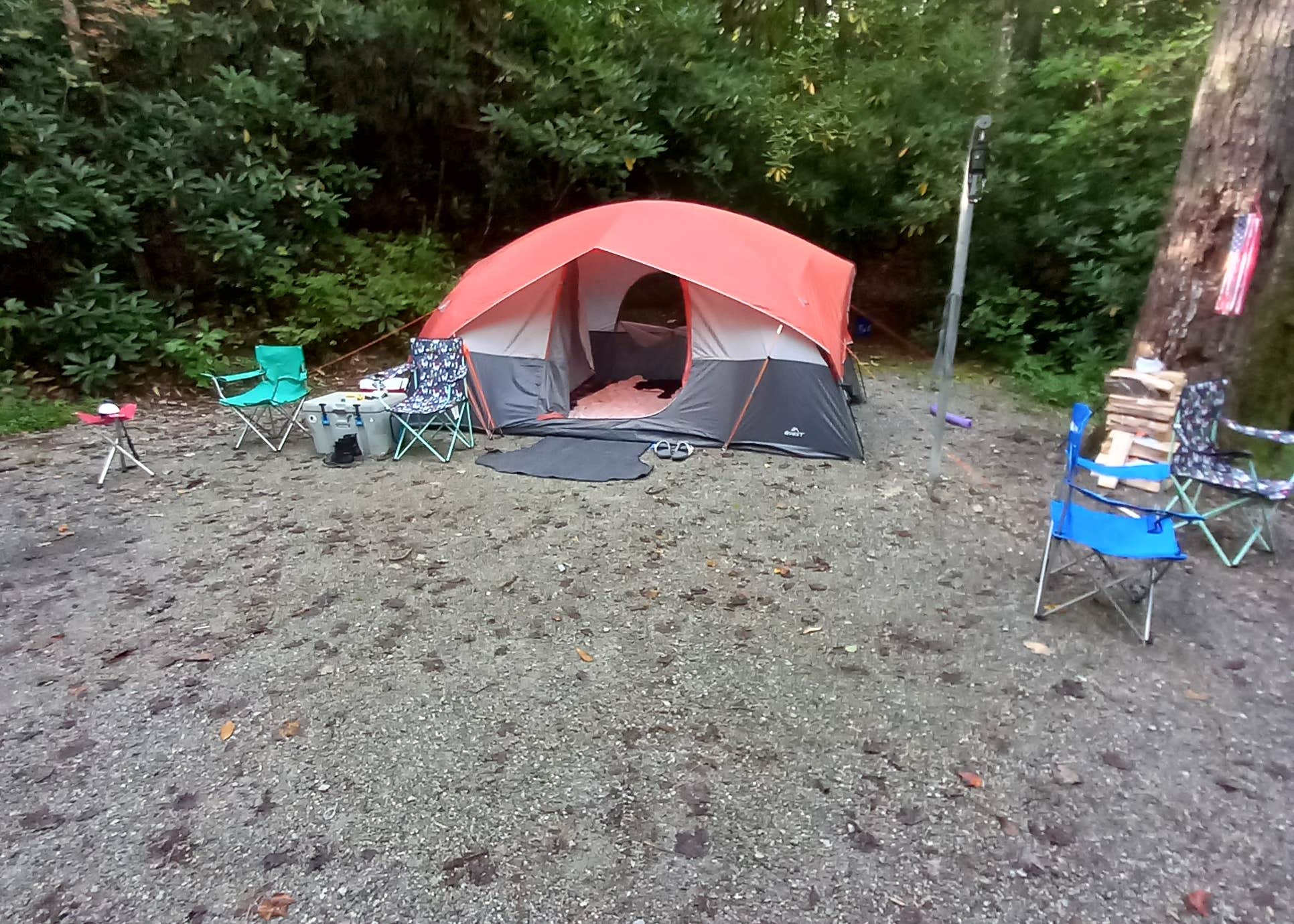 Blue Valley Dispersed Camping Camping | The Dyrt