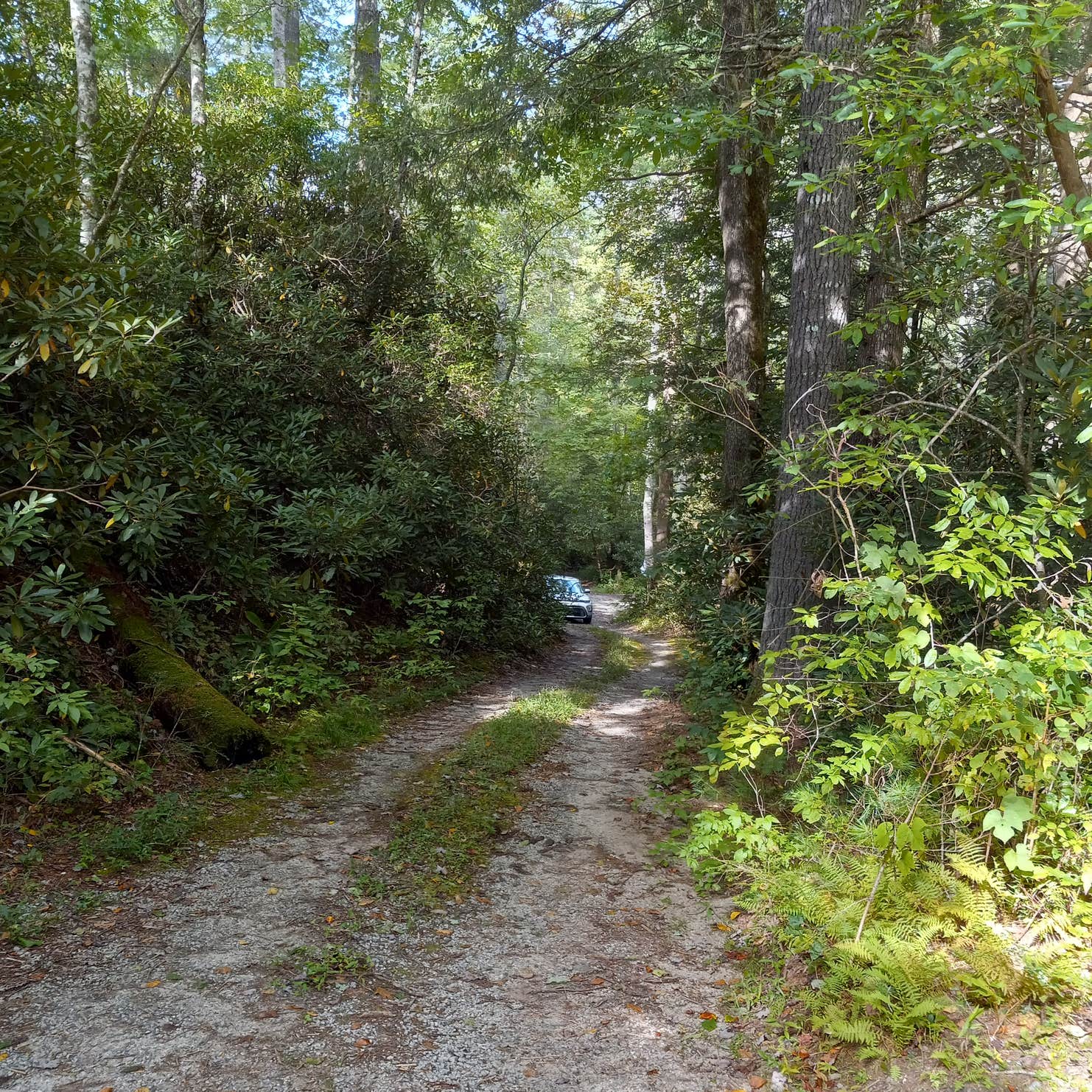 Blue Valley Dispersed Camping | Highlands, NC