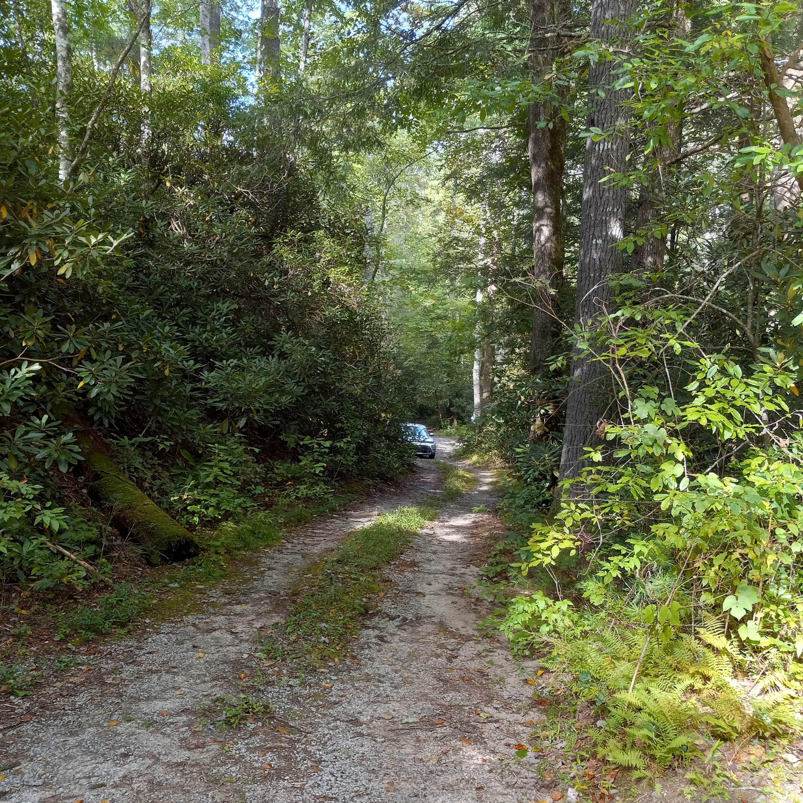 Blue Valley Dispersed Camping | Highlands, North Carolina