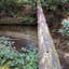 Blue Valley Dispersed Camping | Highlands, North Carolina